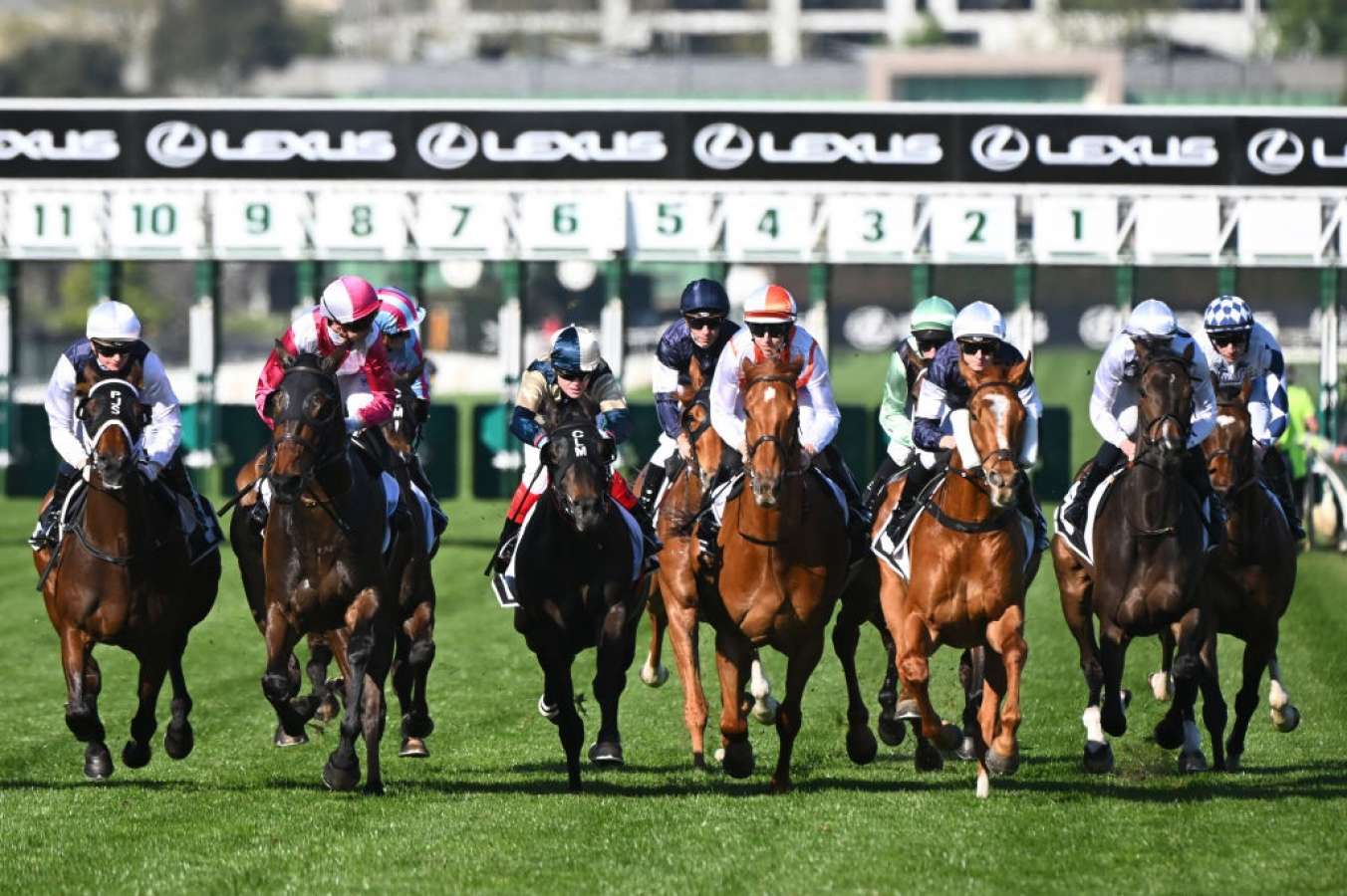 Victoria Derby Day Tips: Flemington preview for Saturday racing, October 29