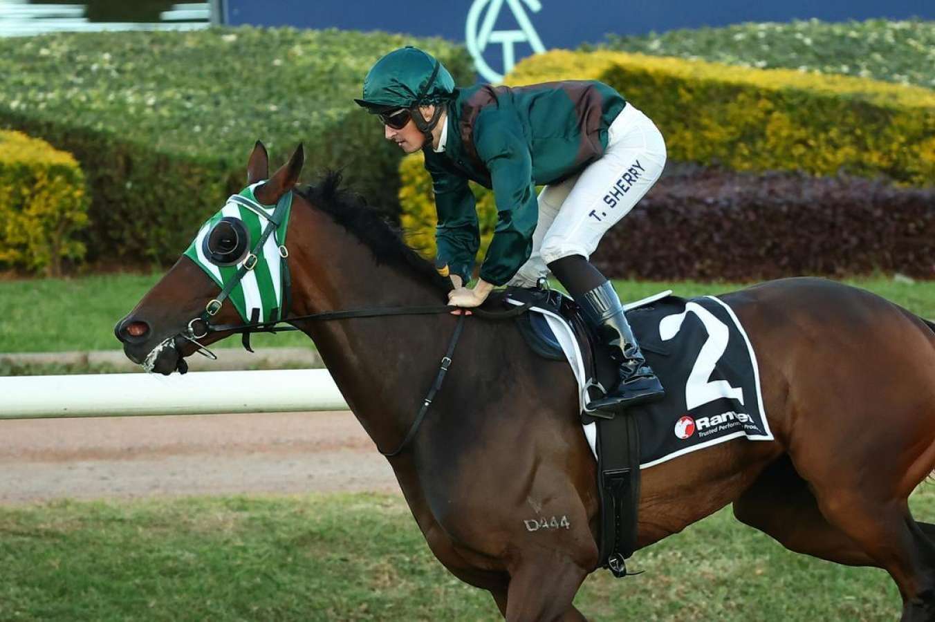 Ex-Hong Kong galloper gets Takeover Target shot