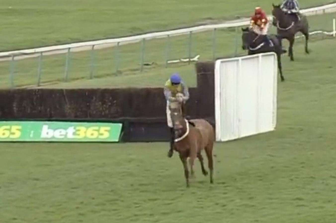 'Disaster at the last': Horse loses rider at $1.01 in running