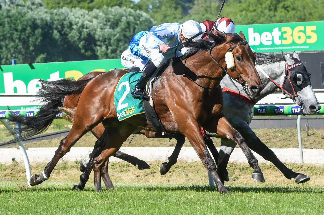 Two Sandown options for Dodging Bullets