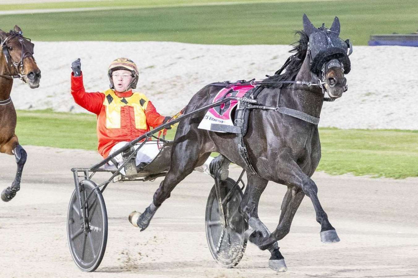 Lee's a believer in untapped young trotter