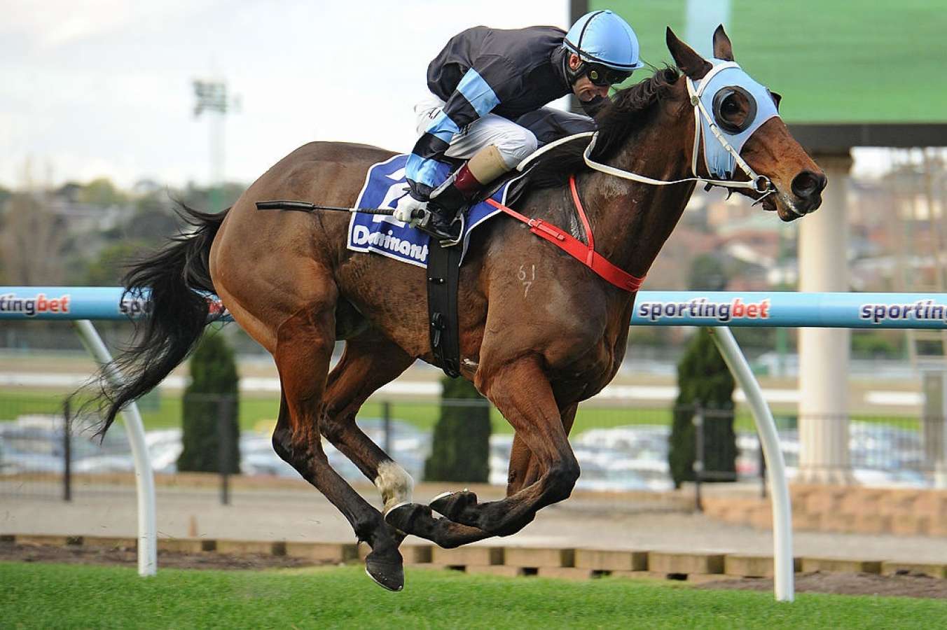 Reason for Dato' race name change revealed