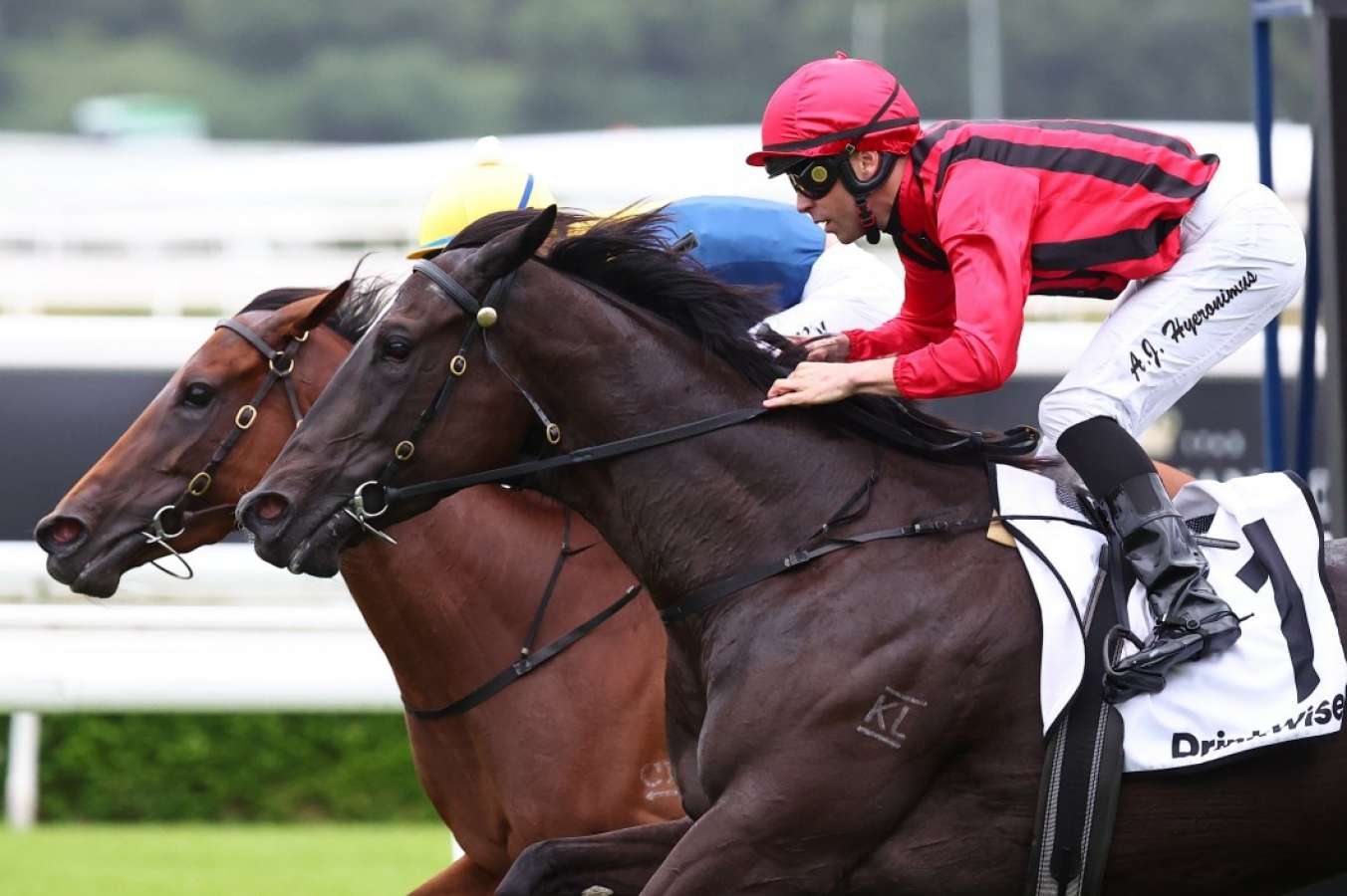 Coolmore Classic preview: Tim Clark confident aboard Tropical Squall