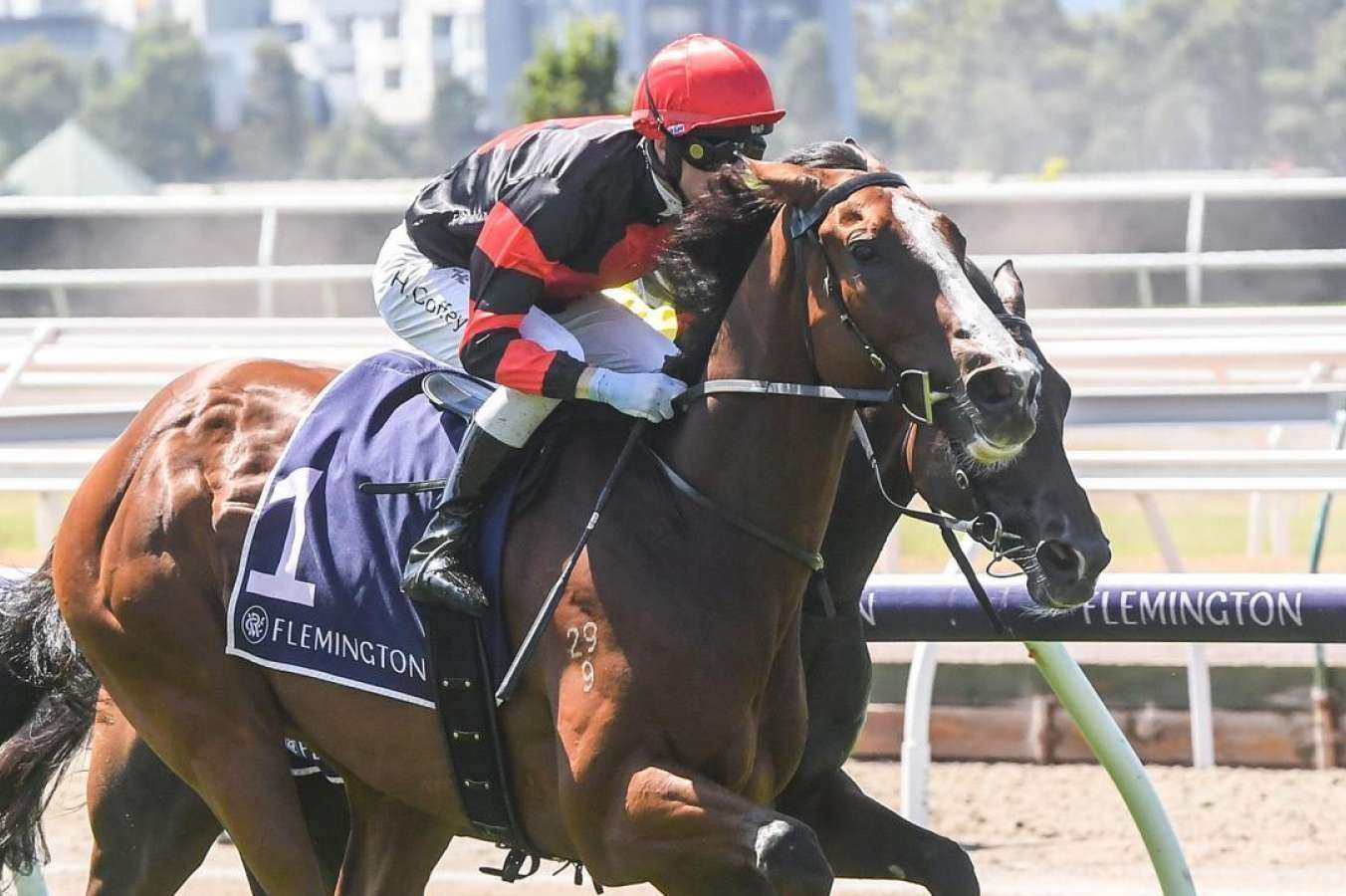 Dunkel has hefty task to extend winning run in Pakenham Cup