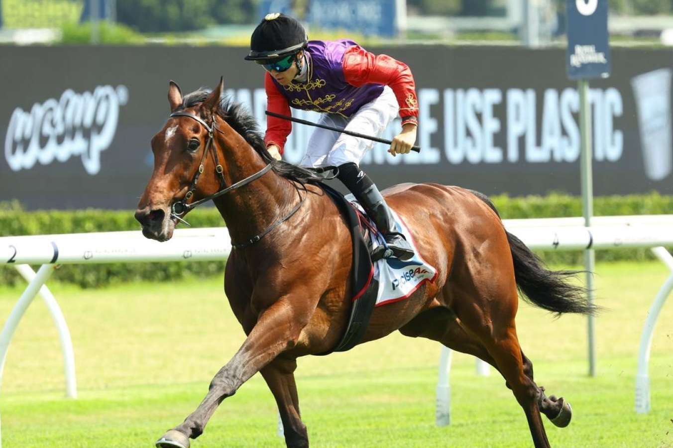 Ciaron Maher import Gilded Water delivers historic triumph for King ...