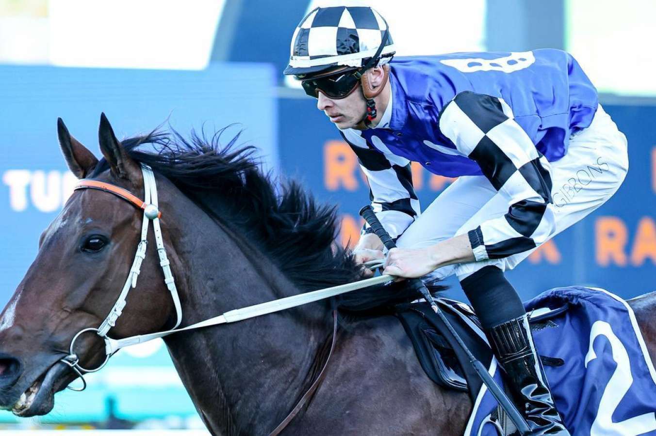 Dylan Gibbons claims his second four-timer as he extends lead in ...