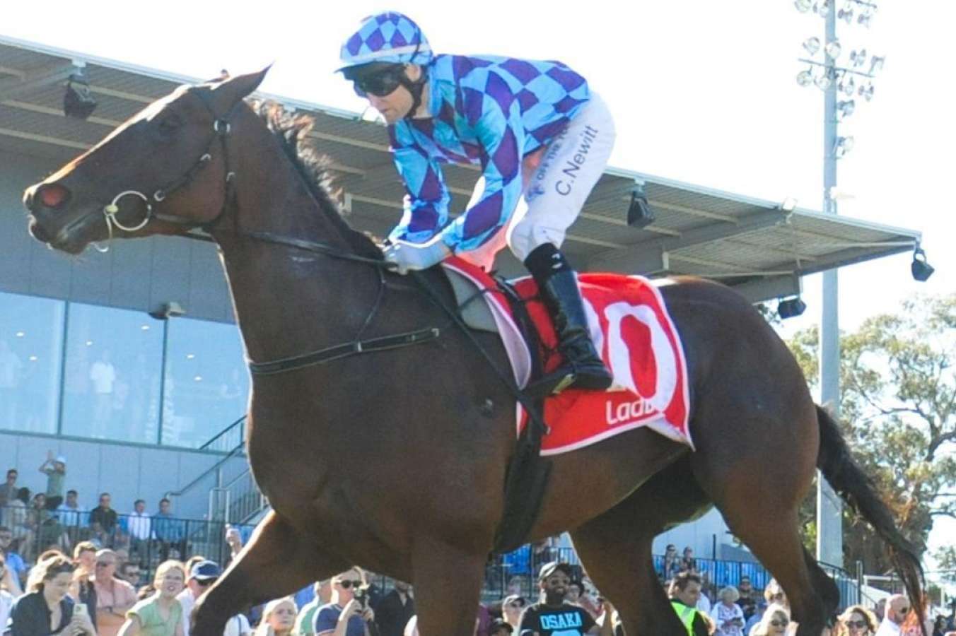 New Jenni set to rise in Autumn Stakes at Caulfield