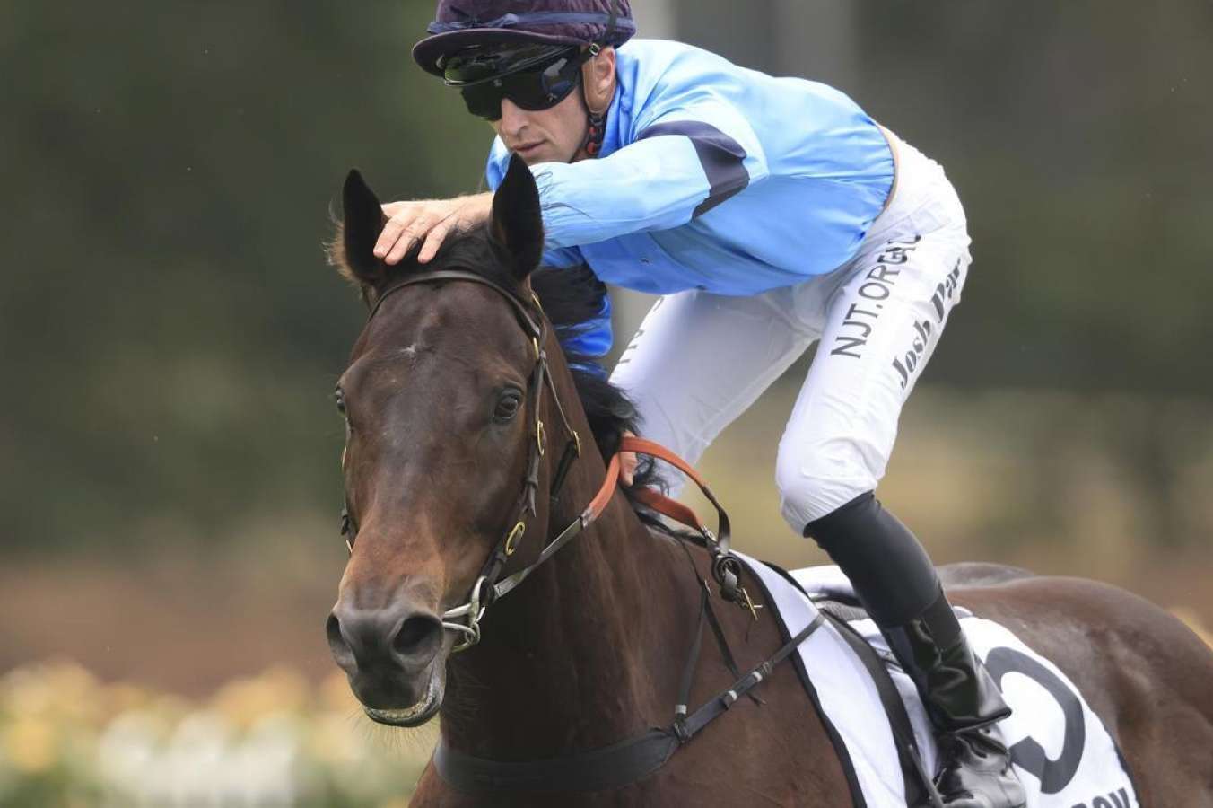 Bjorn Baker changes tack for Edison's third Magic Millions assault