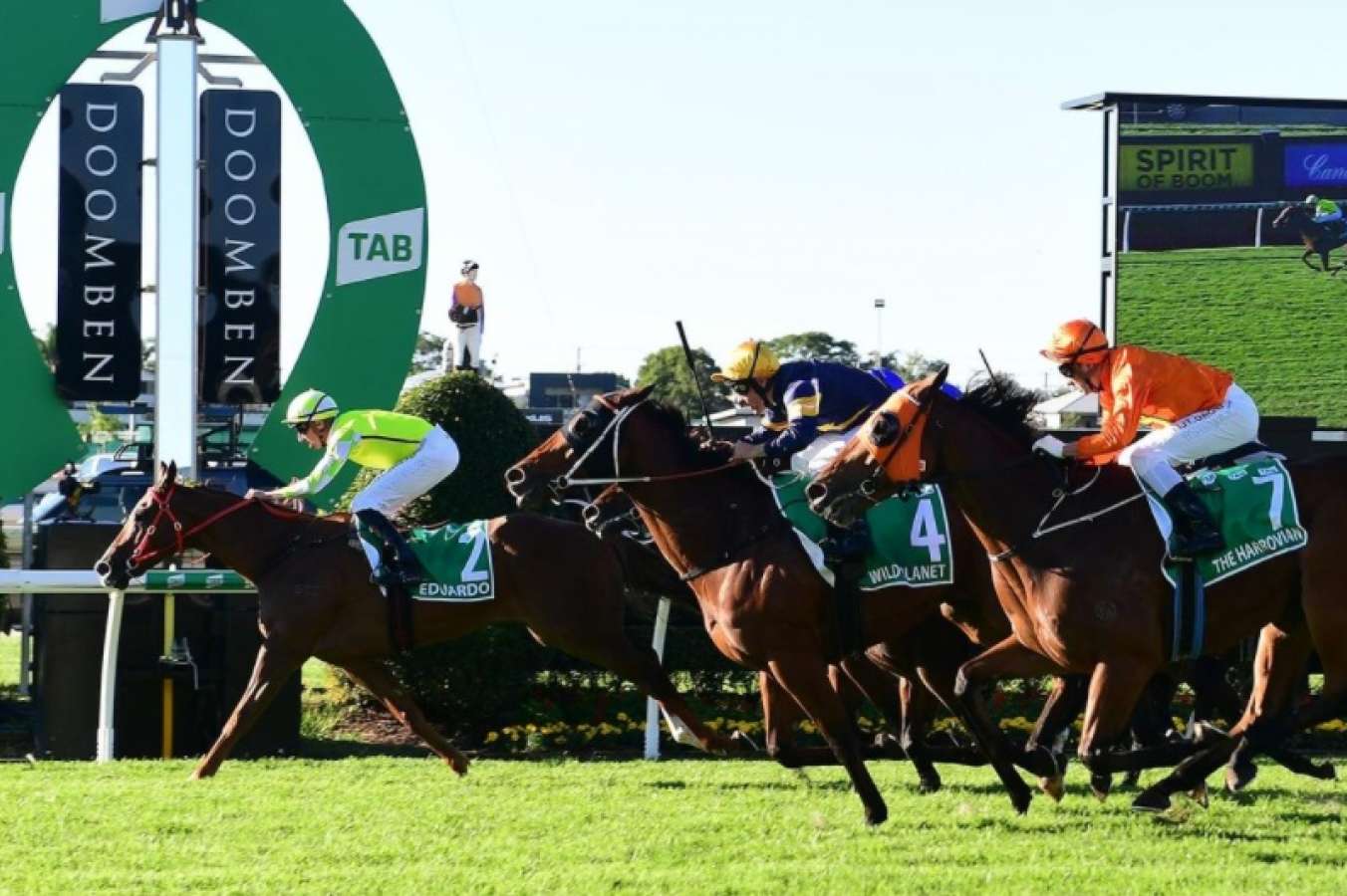 Punters post-race: Doomben 10,000 day in review