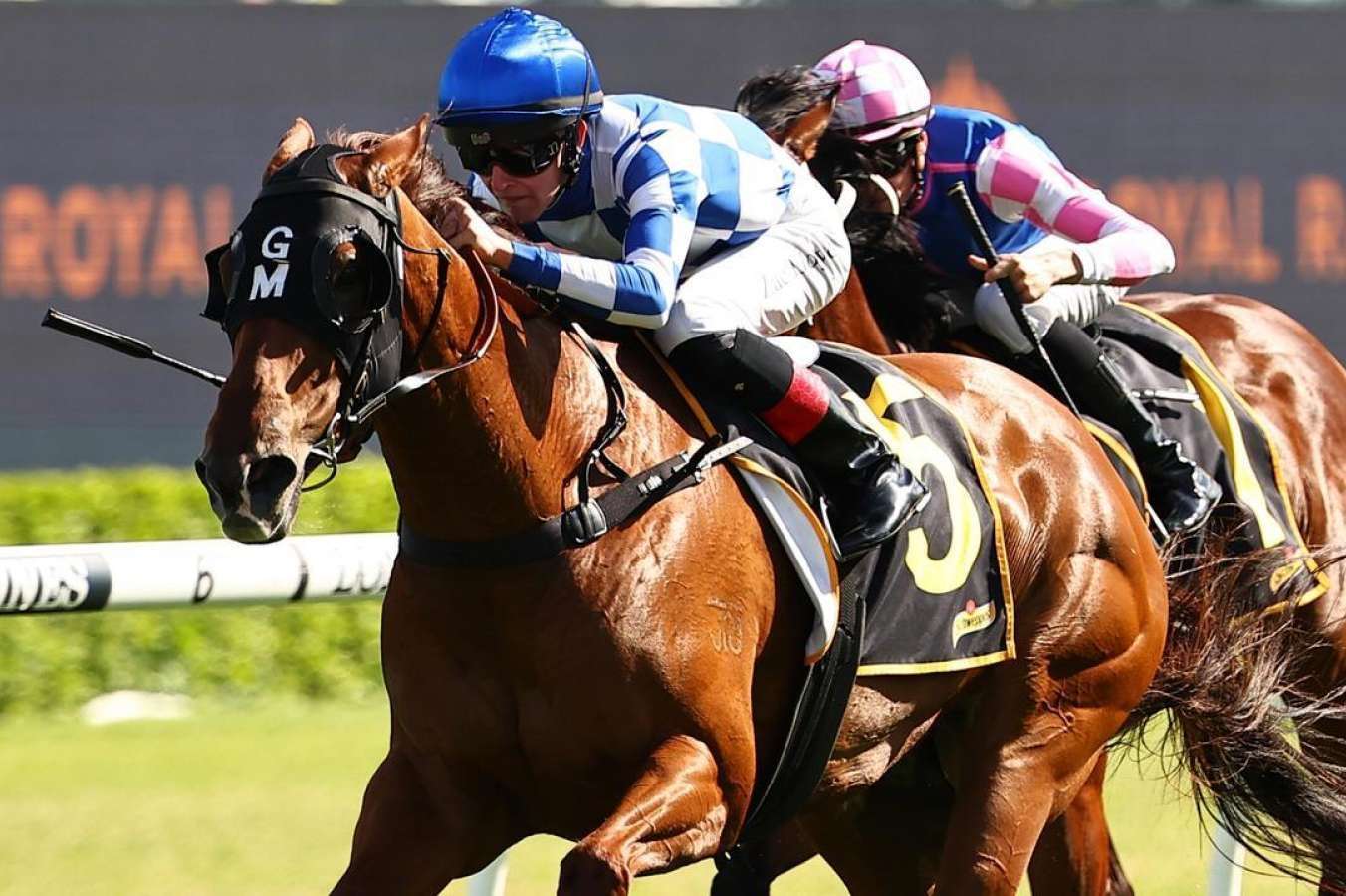 Oar-some mare chasing back-to-back city wins