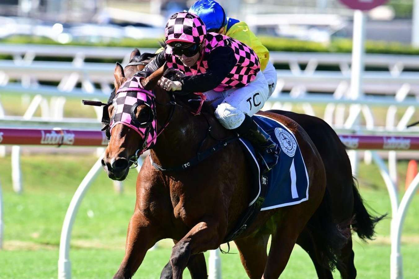 'Surprise packet' in audition for $1m race