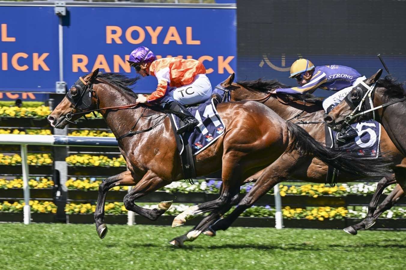 'He's the horse to beat' - Form guru's Spring Champion Stakes tip
