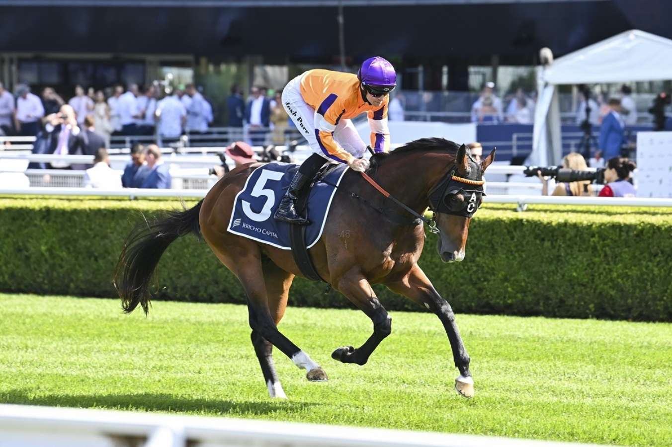 El Castello's Spring Champion Stakes test