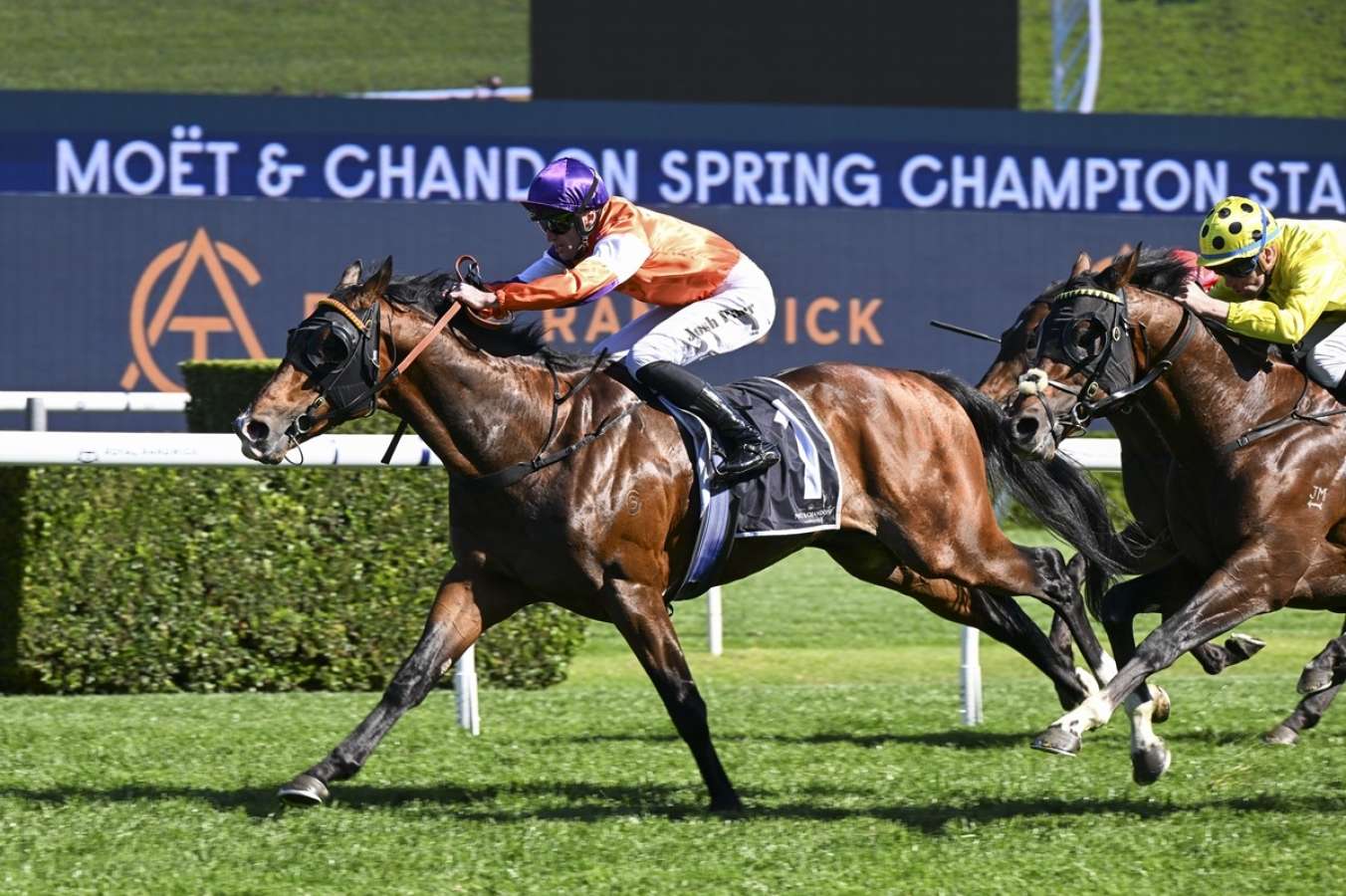 Fields and form online for Derby Day at Flemington