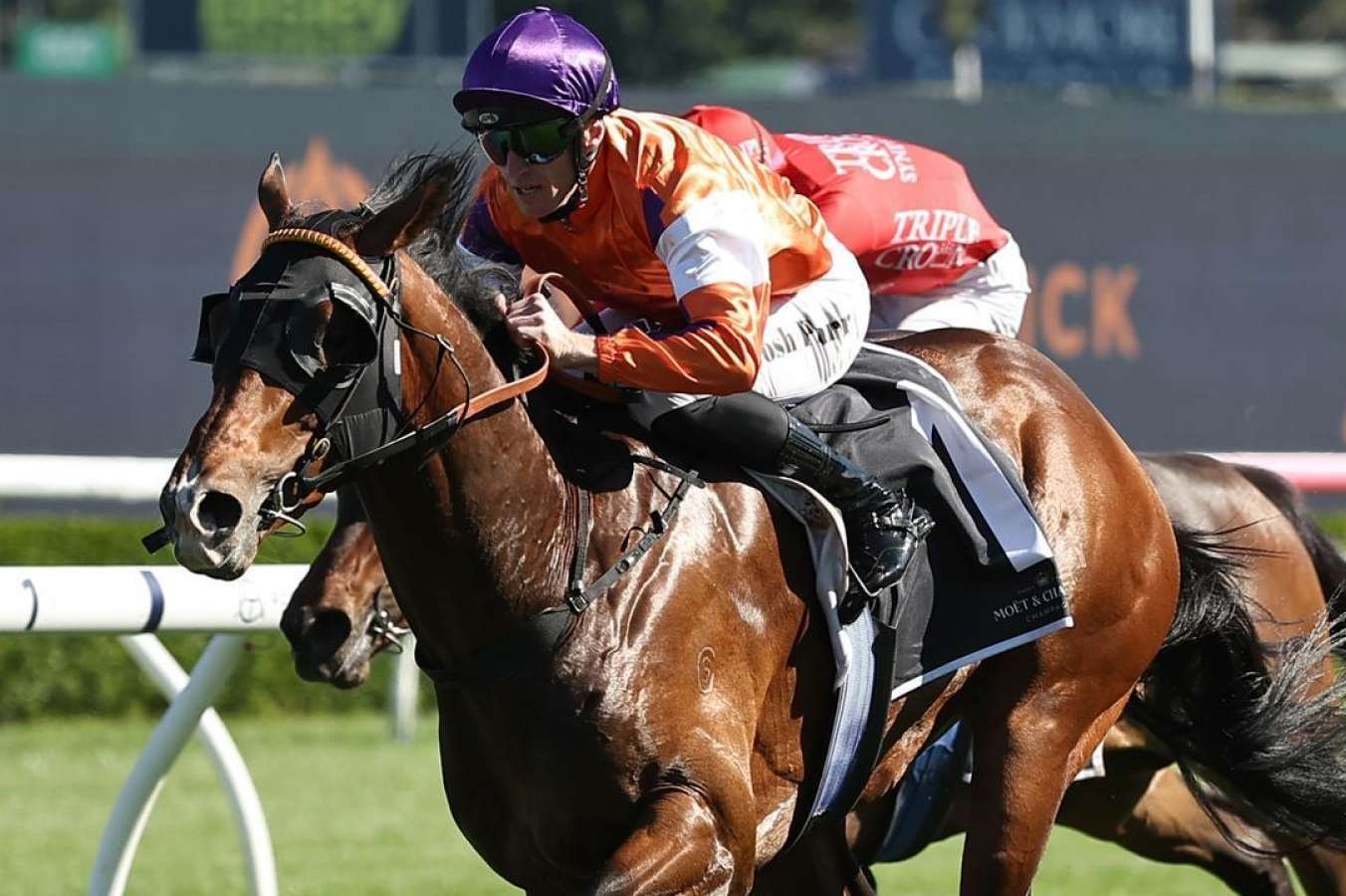 2025 Rosehill Guineas: Broadsiding rival ruled out of autumn