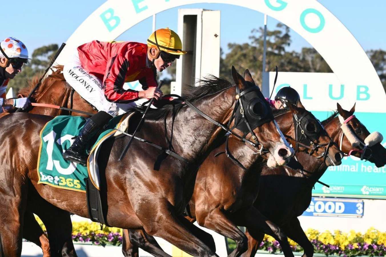 'On plenty of painkillers': Golden Mile win tonic for injured Robbie Laing