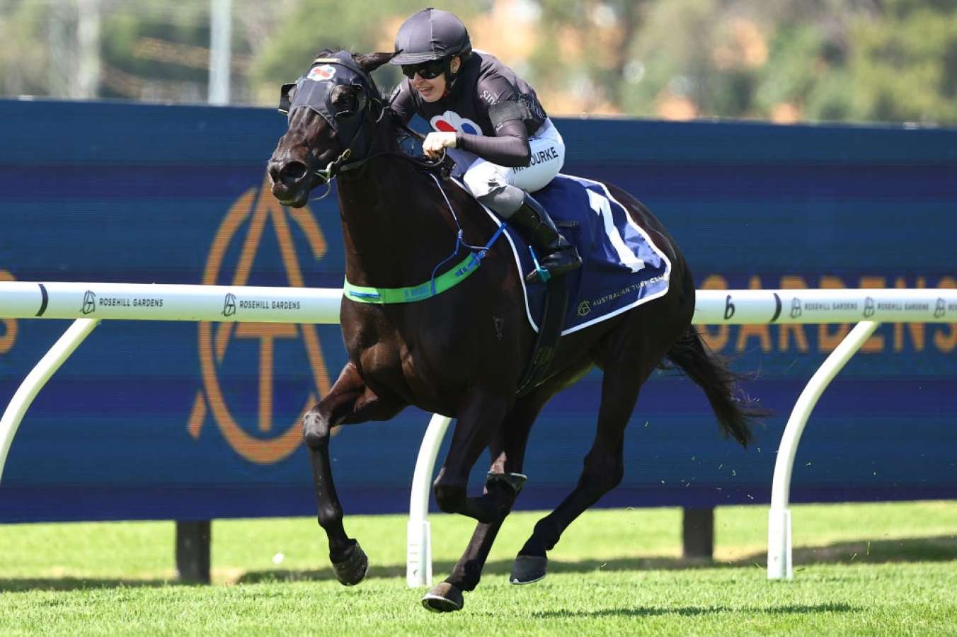 2025 Millie Fox Stakes: Richard, Will Freedman saddle Elettrica