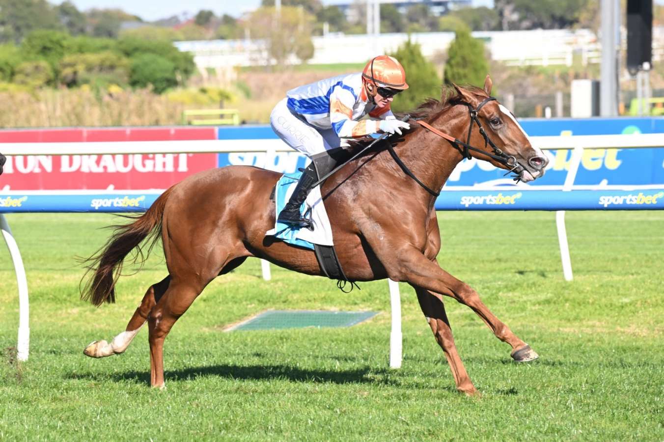 Punters' best bets multi for Saturday's racing