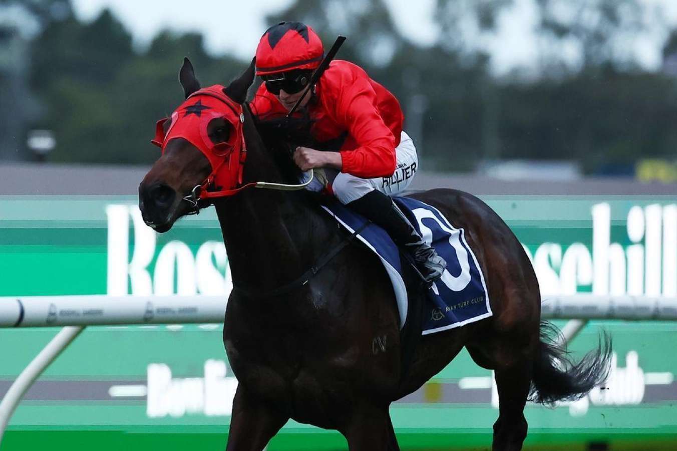 Climb to Kosciuszko continues for Elson Boy