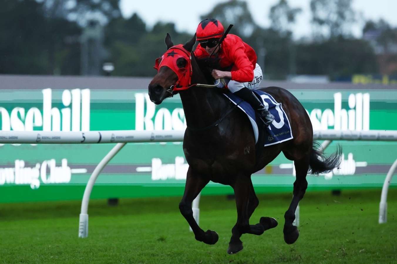 Elson Boy makes it six straight wins for Dubbo trainer Dar Lunn