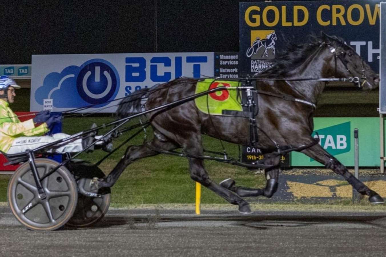 Harness racing: Emma Stewart and Clayton Tonkin have first runner in ...