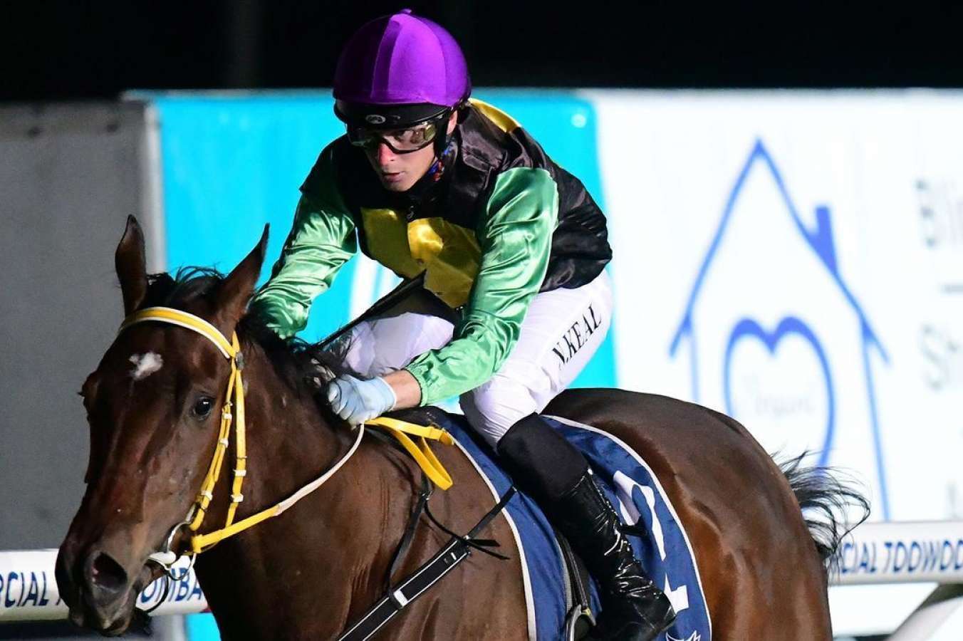 Mark and Ben Currie cocaine racehorse saga drags on