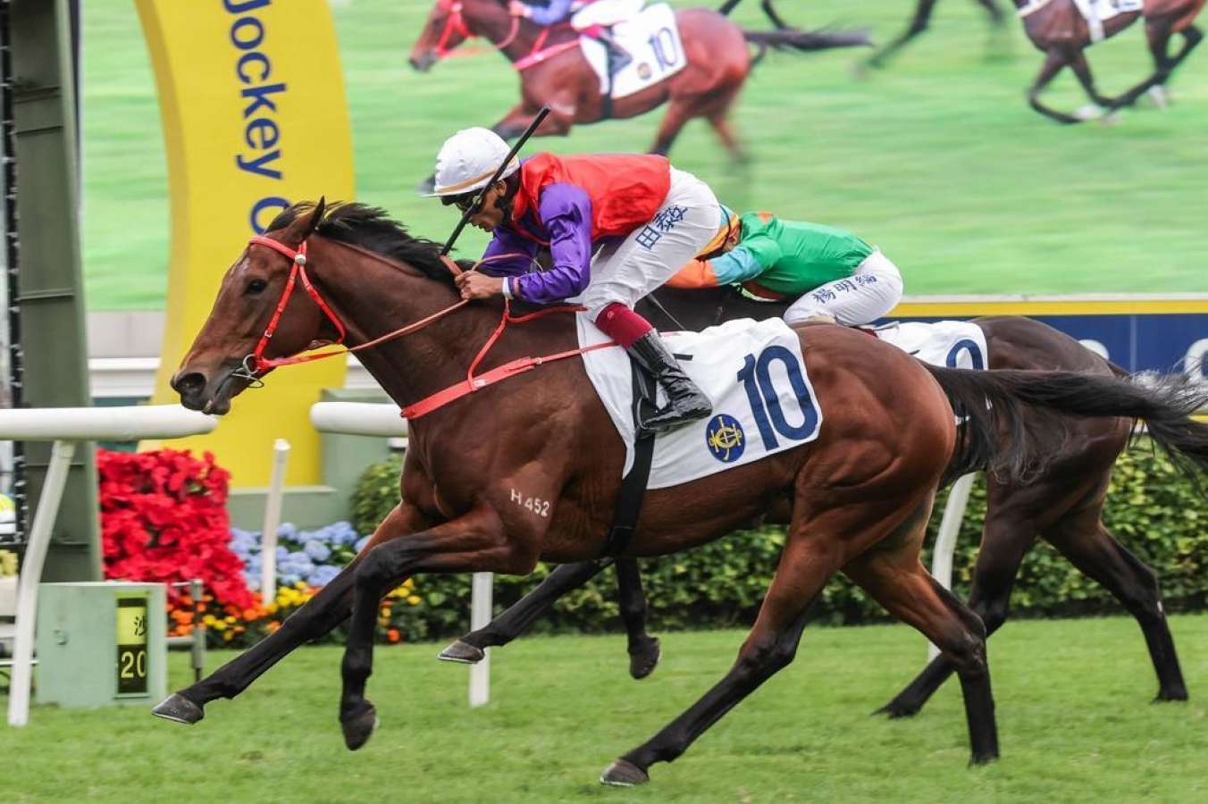 Ensued, Joyful Hunter shape as Four-Year-Old Classic Series aspirants