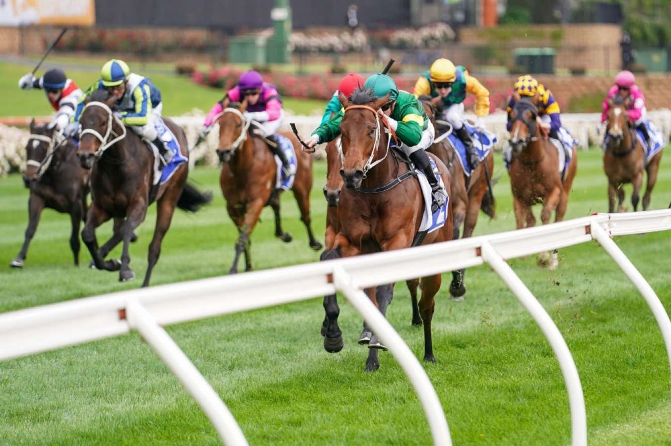 Trent Busuttin: Equivocal 'genuine chance' in Chairman's Stakes