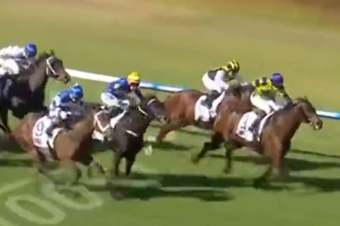 Betfair Saturday wash-up: 'Effin' hell' cry Esseffninety backers