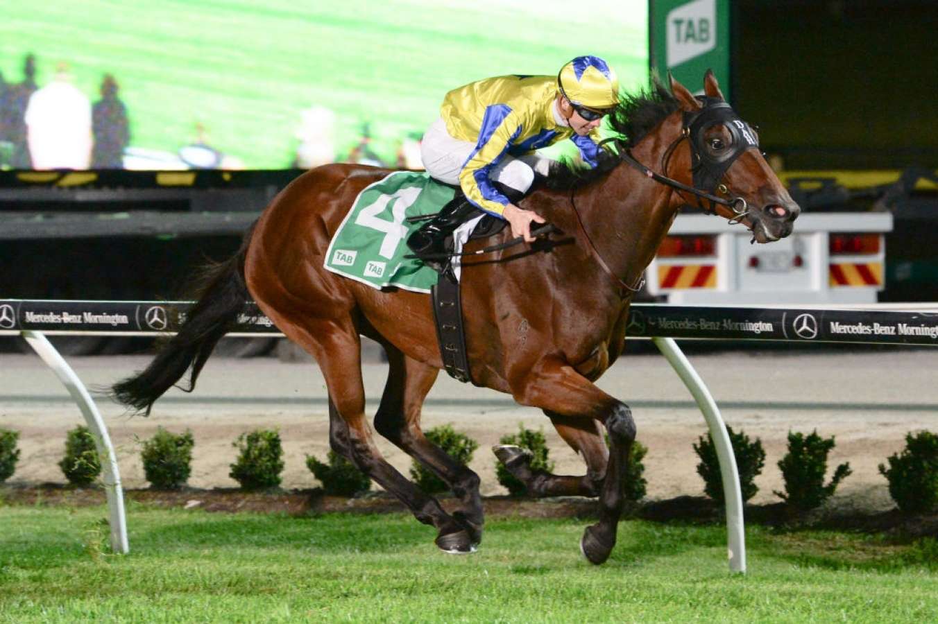 Ipswich best bets, preview and tips: Wednesday, November 10