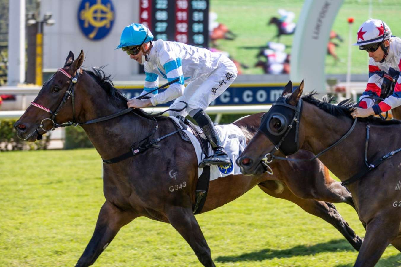 Excellent Fighter poised to extend Ricky Yiu's streak