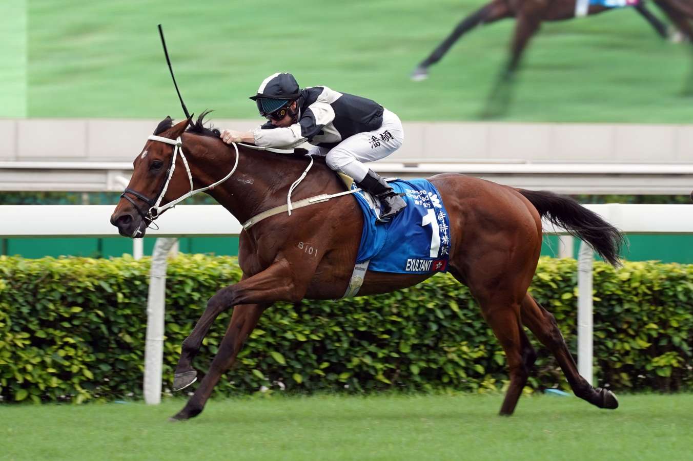 Exultant wins Group One Champions & Chater Cup in Hong Kong