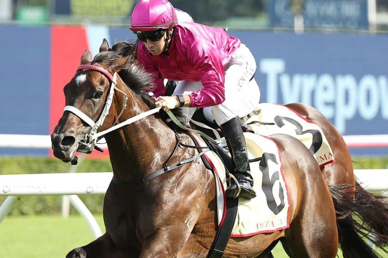 2025 Queen Of The Turf Stakes tips, runner-by-runner form analysis