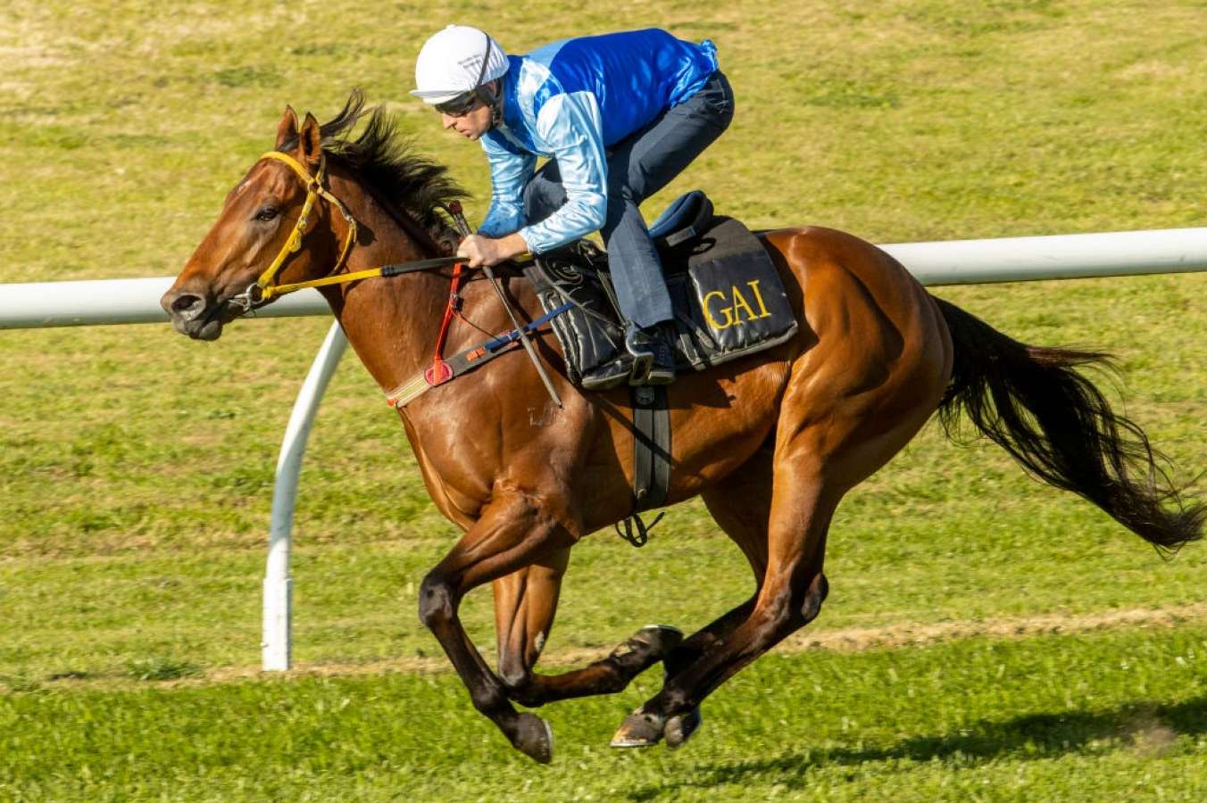 Farnan new Golden Rose favourite following trial win