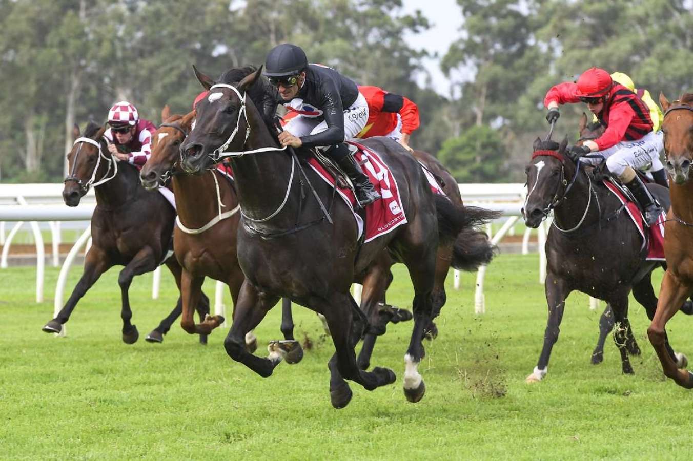 Fasika on track for rich Golden Eagle