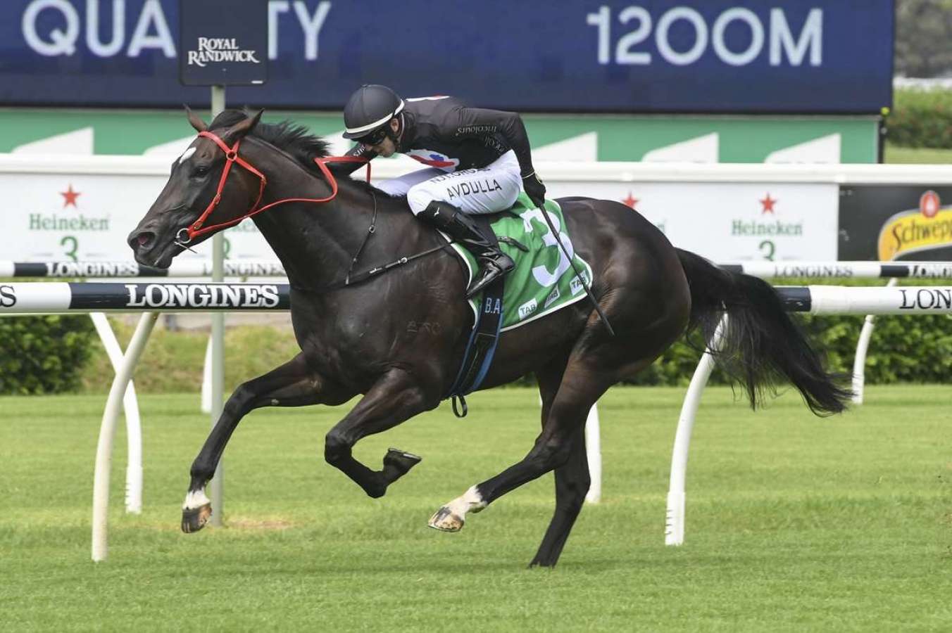 Ambitions high for Fasika after Wenona win