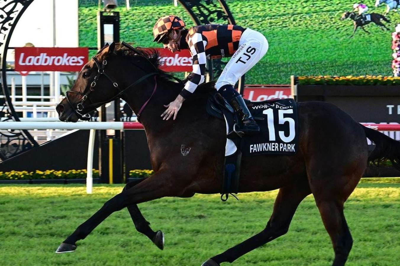 Underwood Stakes: Tyler Schiller craves Caulfield Cup success with ...