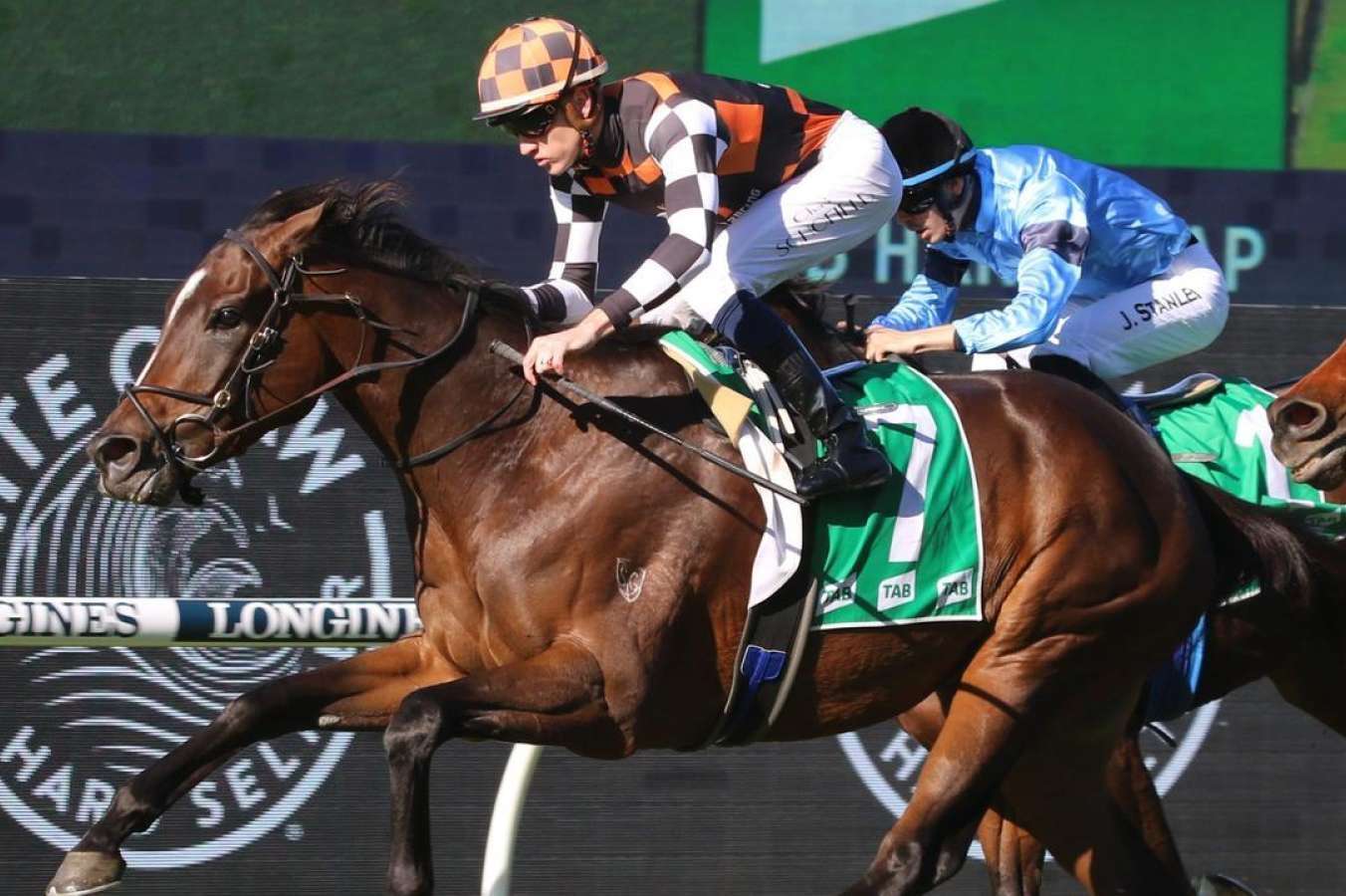 'Writing on the wall': Neasham's Fawkner Park confidence in Q22