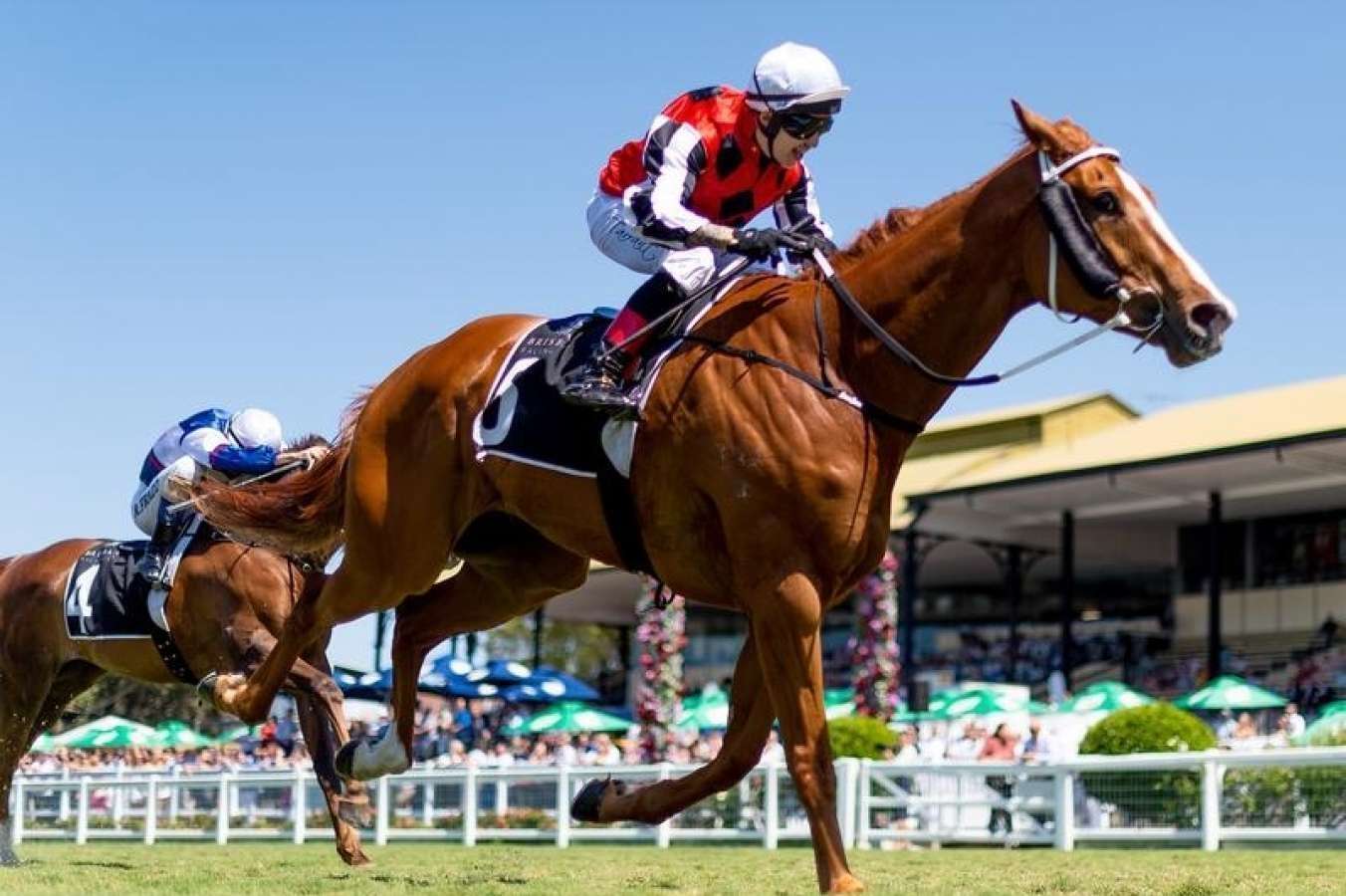 Teo Fighting off the Waller army