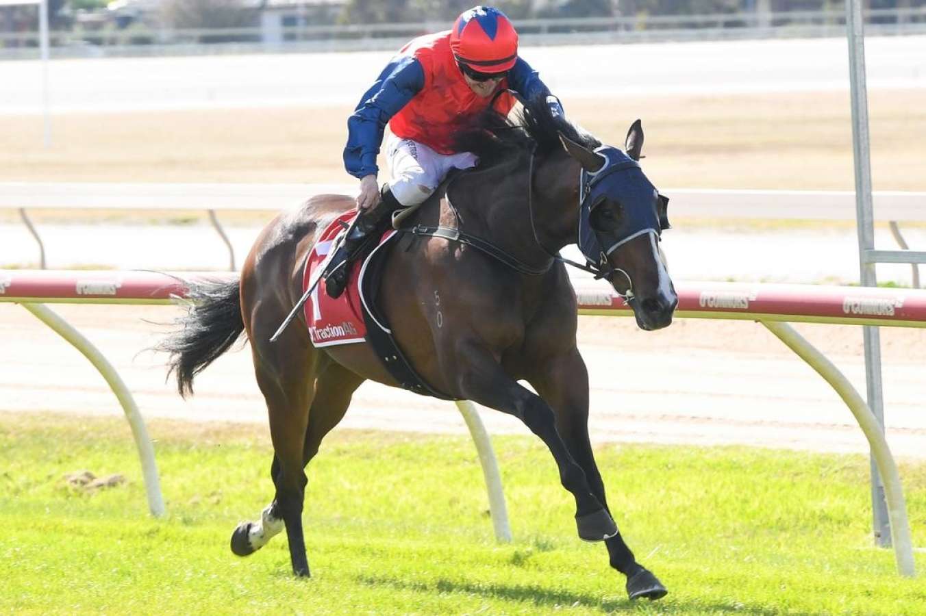 Best bets and expert tips for Ballarat Synthetic Tuesday