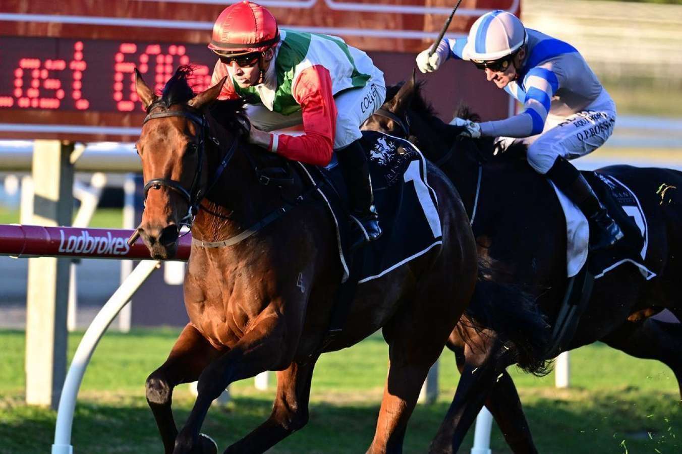 'She has this weird gait': Fireburn scratched from Queensland Oaks