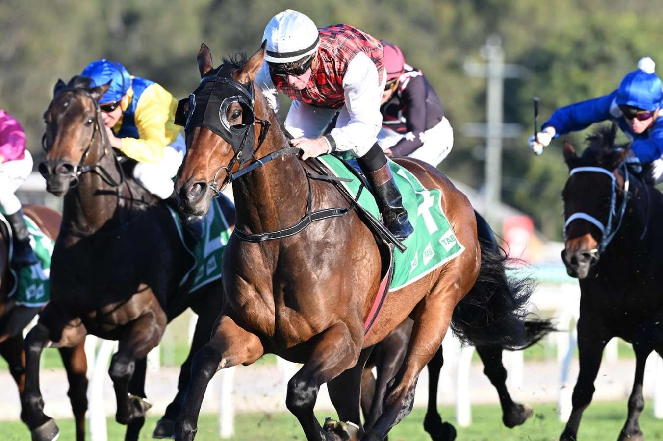 $101 to $11 for Queensland Derby after monster win