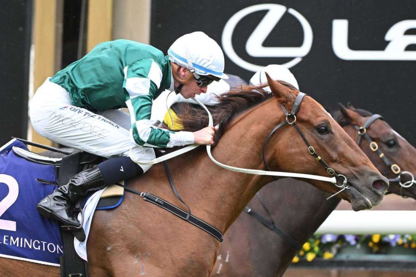 Unbeaten colt First Settler to set course on spring sprint path ...