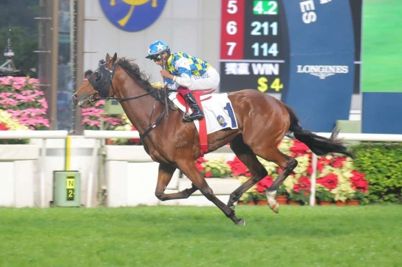 Galaxy Patch limbers up for Group 2 test with easy trial