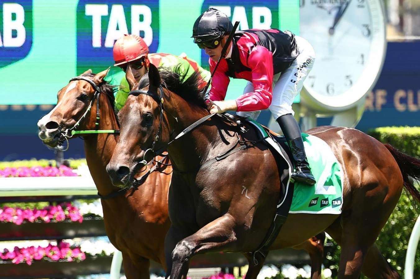 Gallant Star dominates to win the Barn Dance