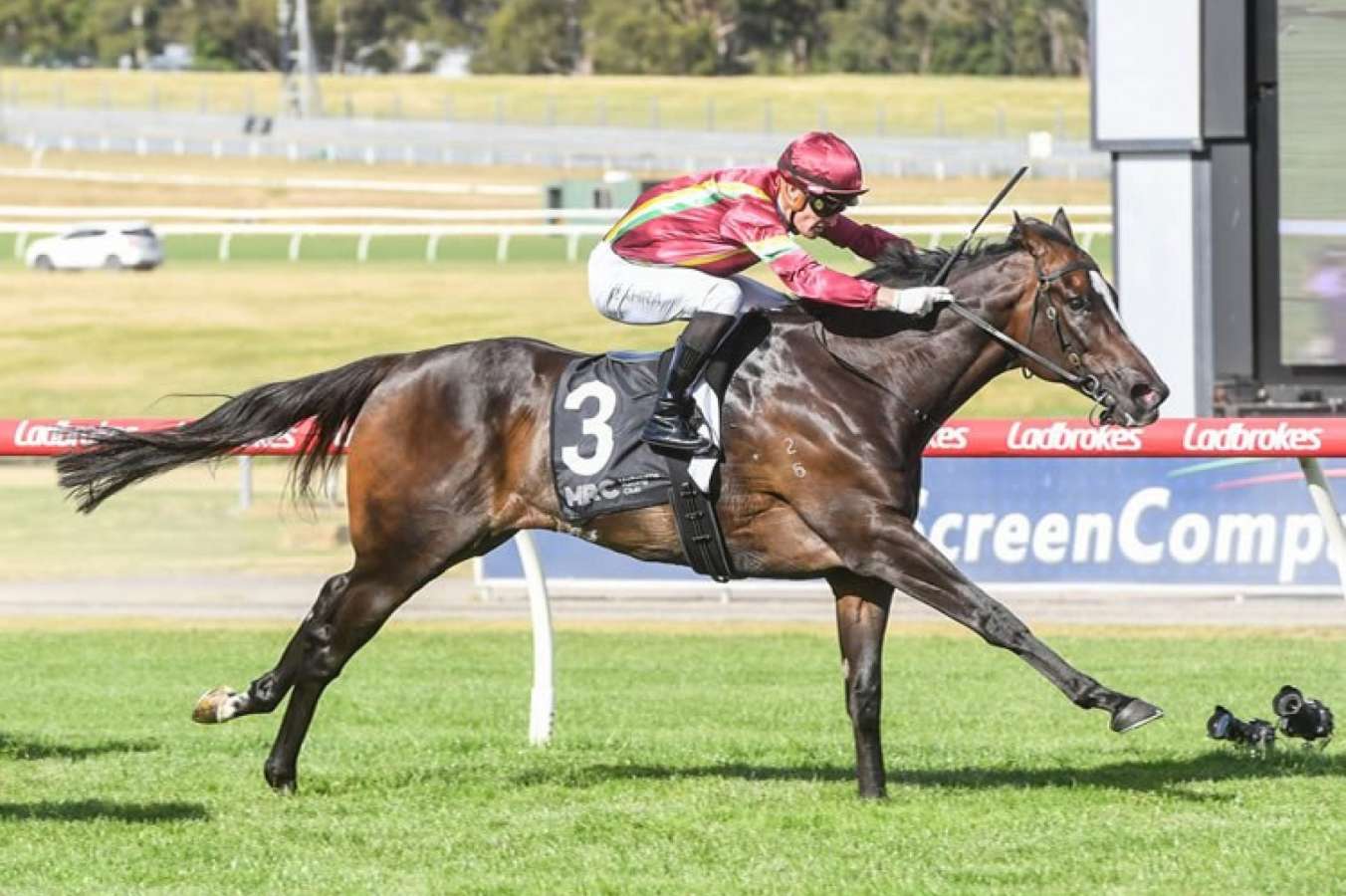 2024 Sir Rupert Clarke Stakes at Caulfield: Gentleman Roy lines up