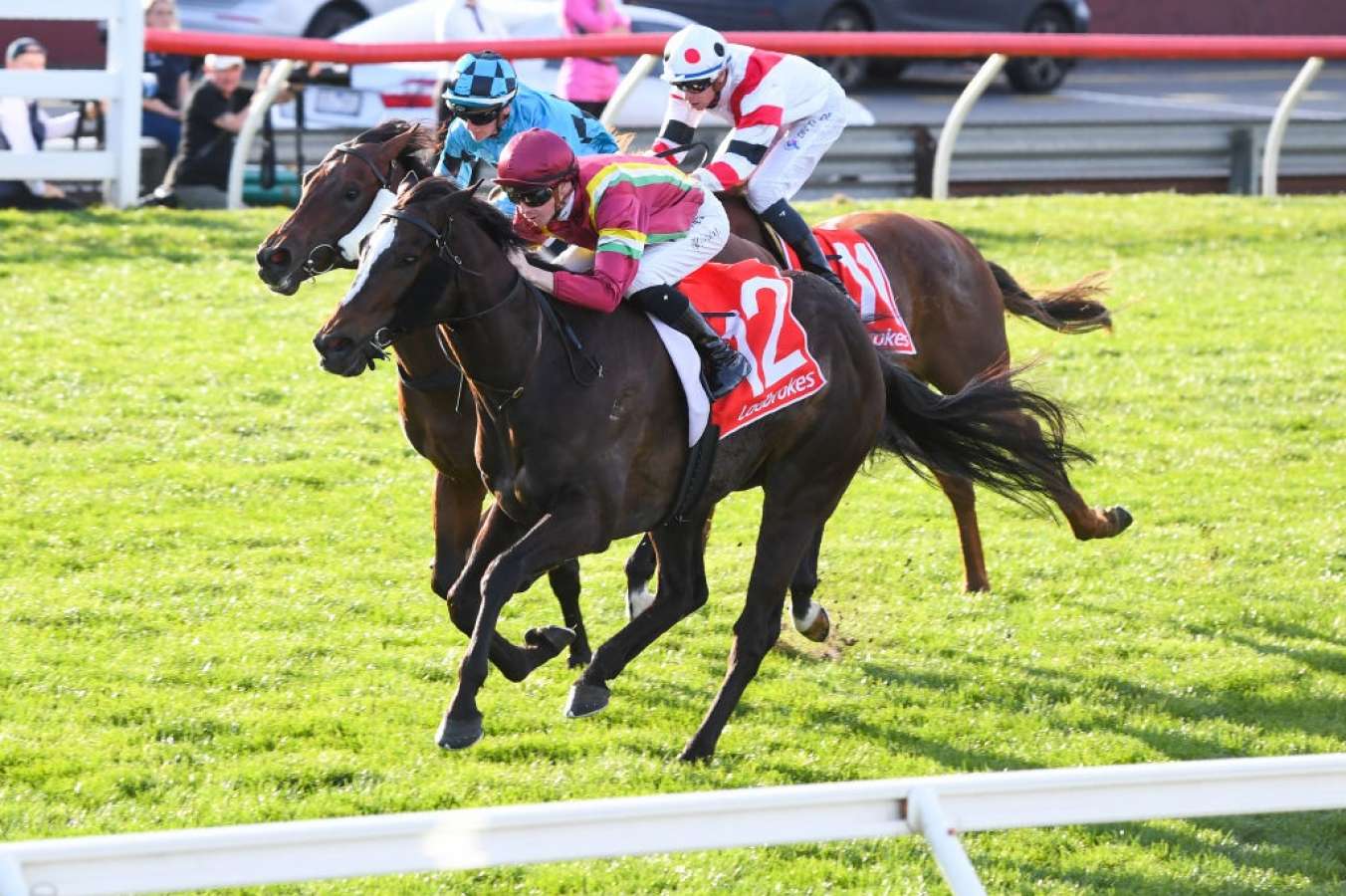 Jye McNeil masterclass guides Gentleman Roy home at Sandown