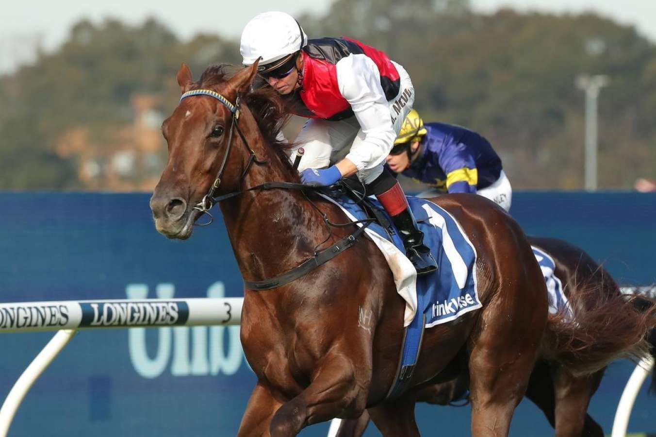 'His time to shine': Gerald Ryan has big spring targets for Grebeni