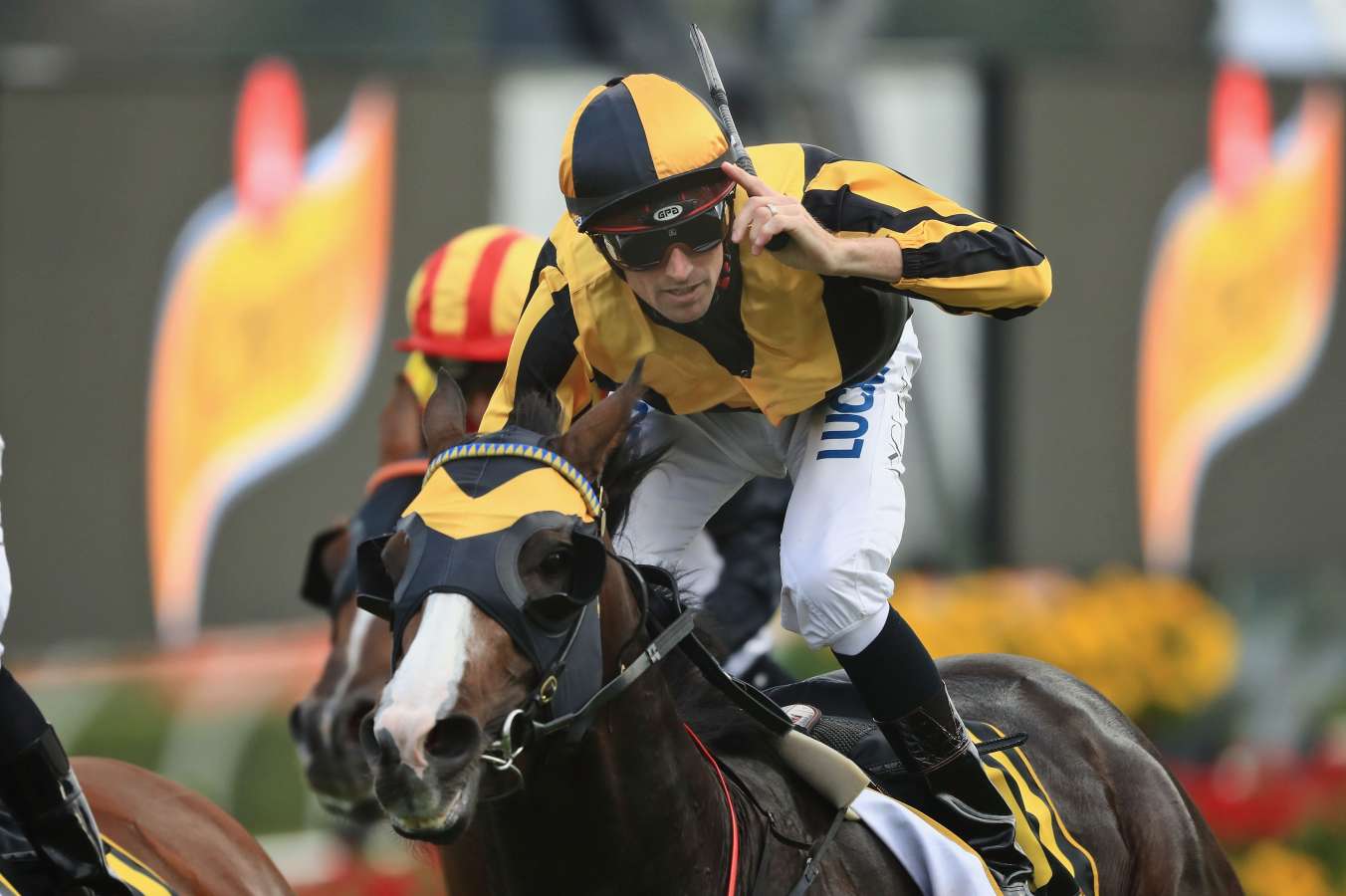 Everest favourite has Rosehill trial