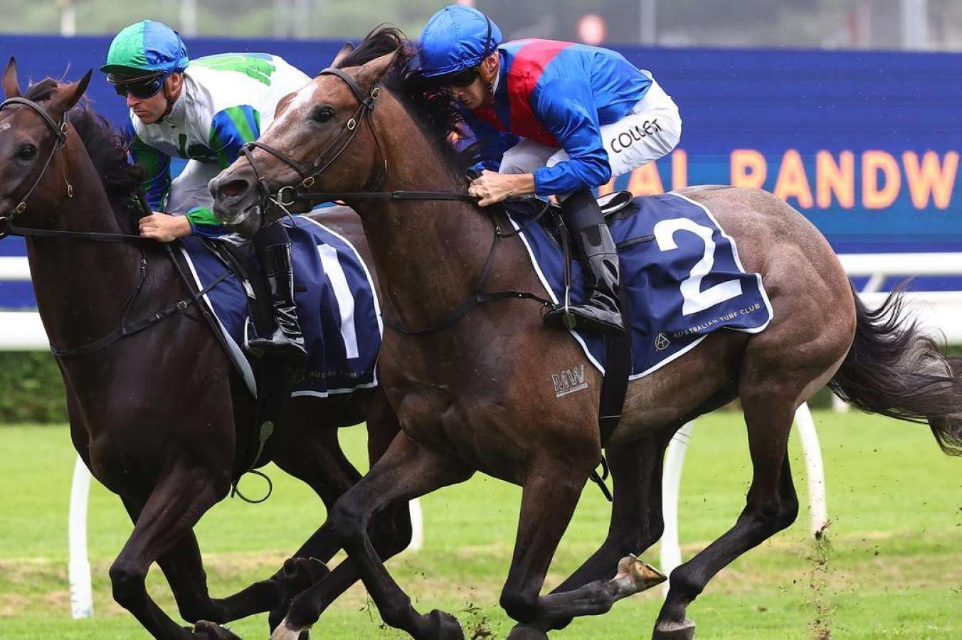 Tips and preview for Wednesday's meeting on the Kensington track